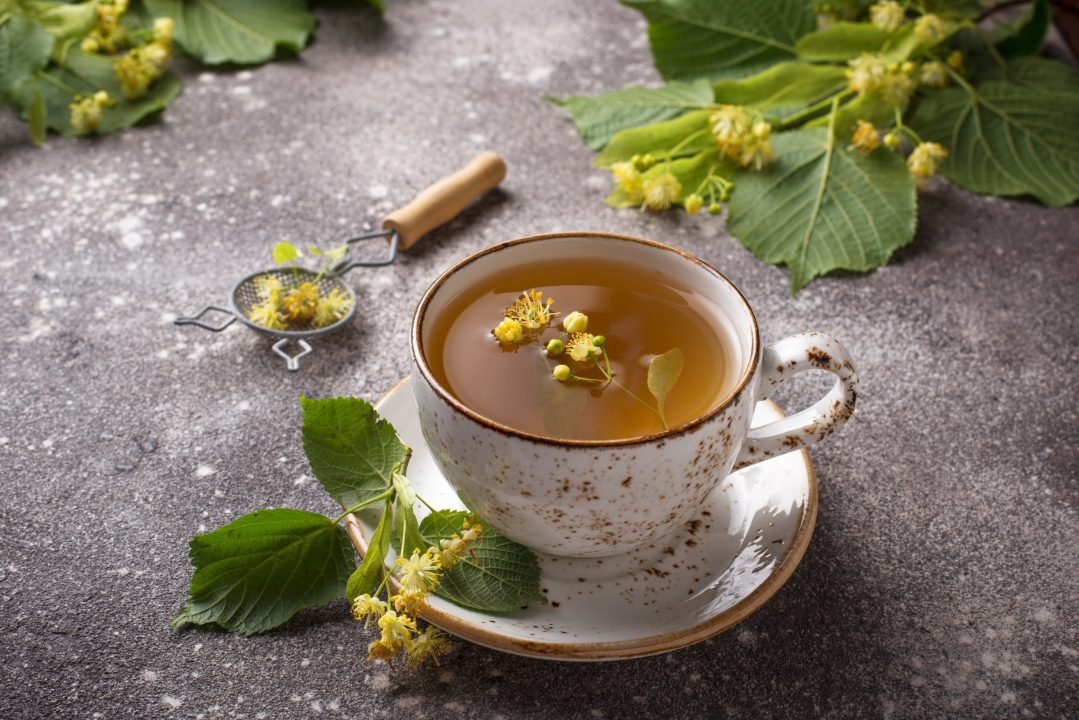 Ventajas de consumir té de tilo | Gentleman USA